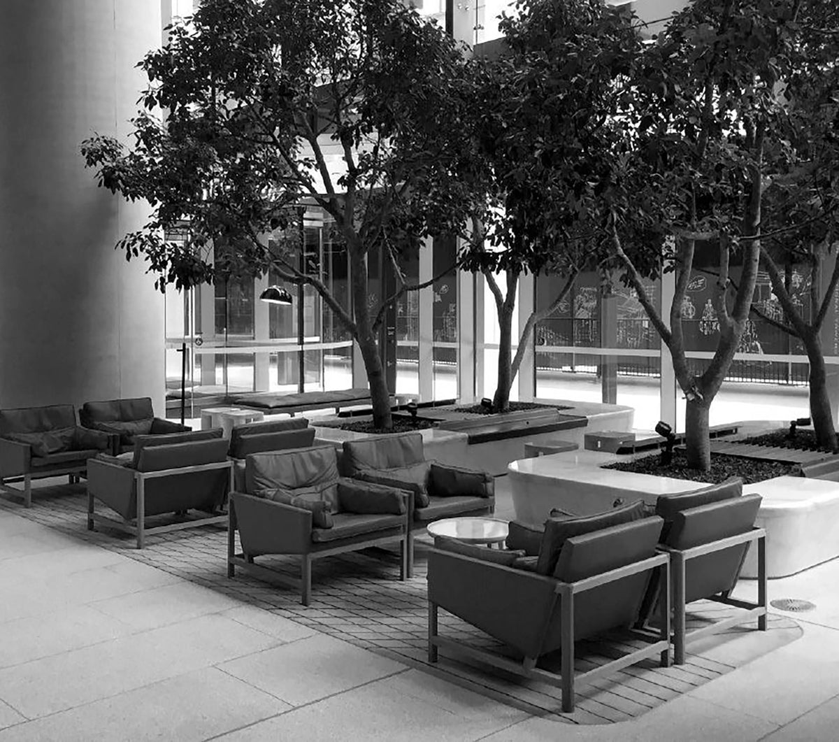 Wood Frame Lounge Chairs